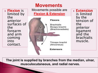 elbow joint .ppt