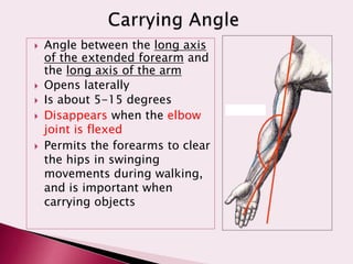 elbow joint .ppt