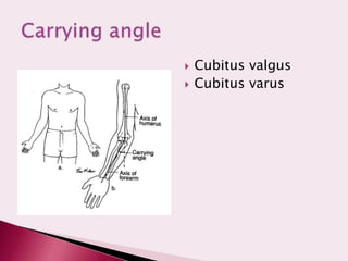 elbow joint .ppt
