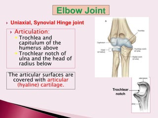 elbow joint .ppt