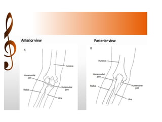Biomechanics of elbow complex it's clinical applied | PDF