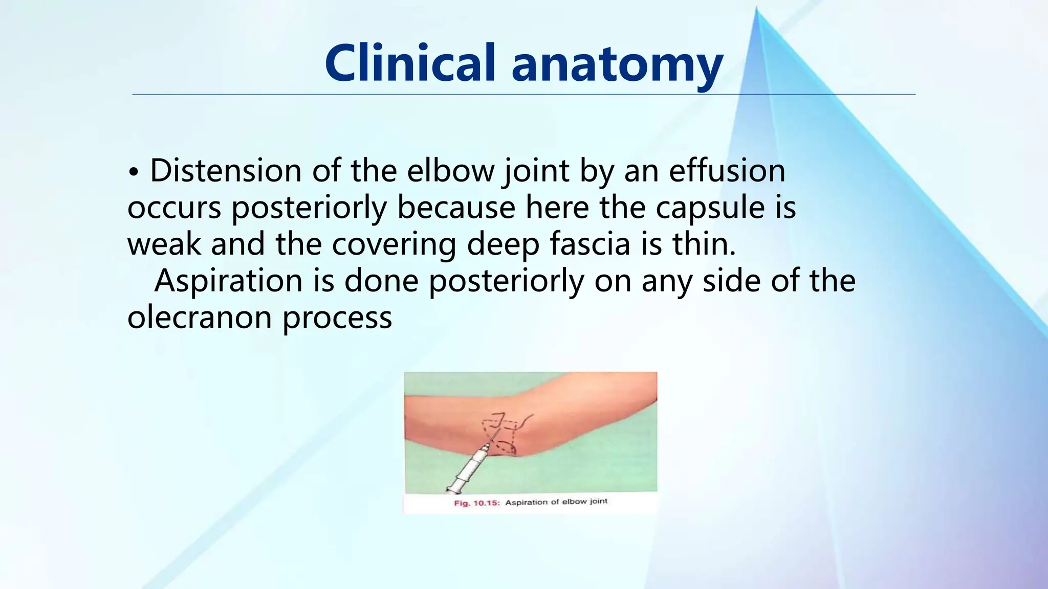 Elbow joint - Anatomy of the Elbow joint | PPTX