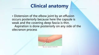 Elbow joint - Anatomy of the Elbow joint | PPTX