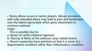 Elbow joint - Anatomy of the Elbow joint | PPTX
