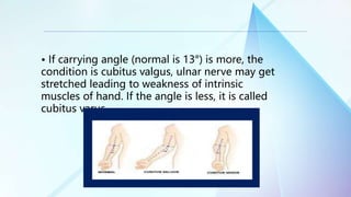 Elbow joint - Anatomy of the Elbow joint | PPTX