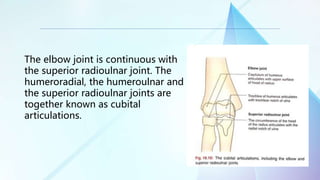 Elbow joint - Anatomy of the Elbow joint | PPTX