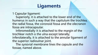 Elbow joint - Anatomy of the Elbow joint | PPTX
