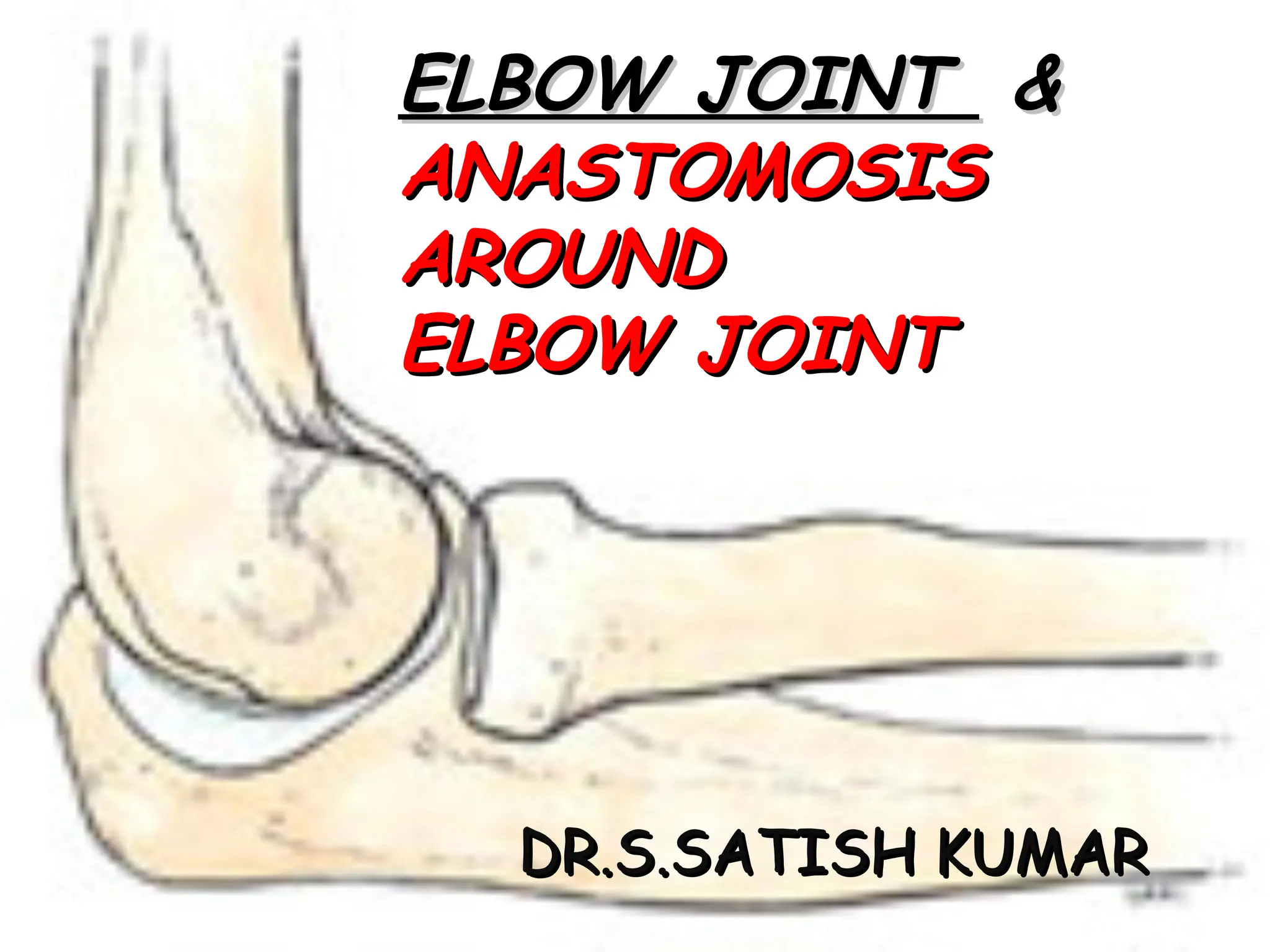 ELBOW JOINT and SUPERIOR AND INFERIOR RADIO ULNAR JOINT | PPT