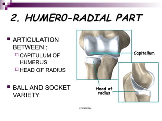ELBOW JOINT and SUPERIOR AND INFERIOR RADIO ULNAR JOINT | PPT