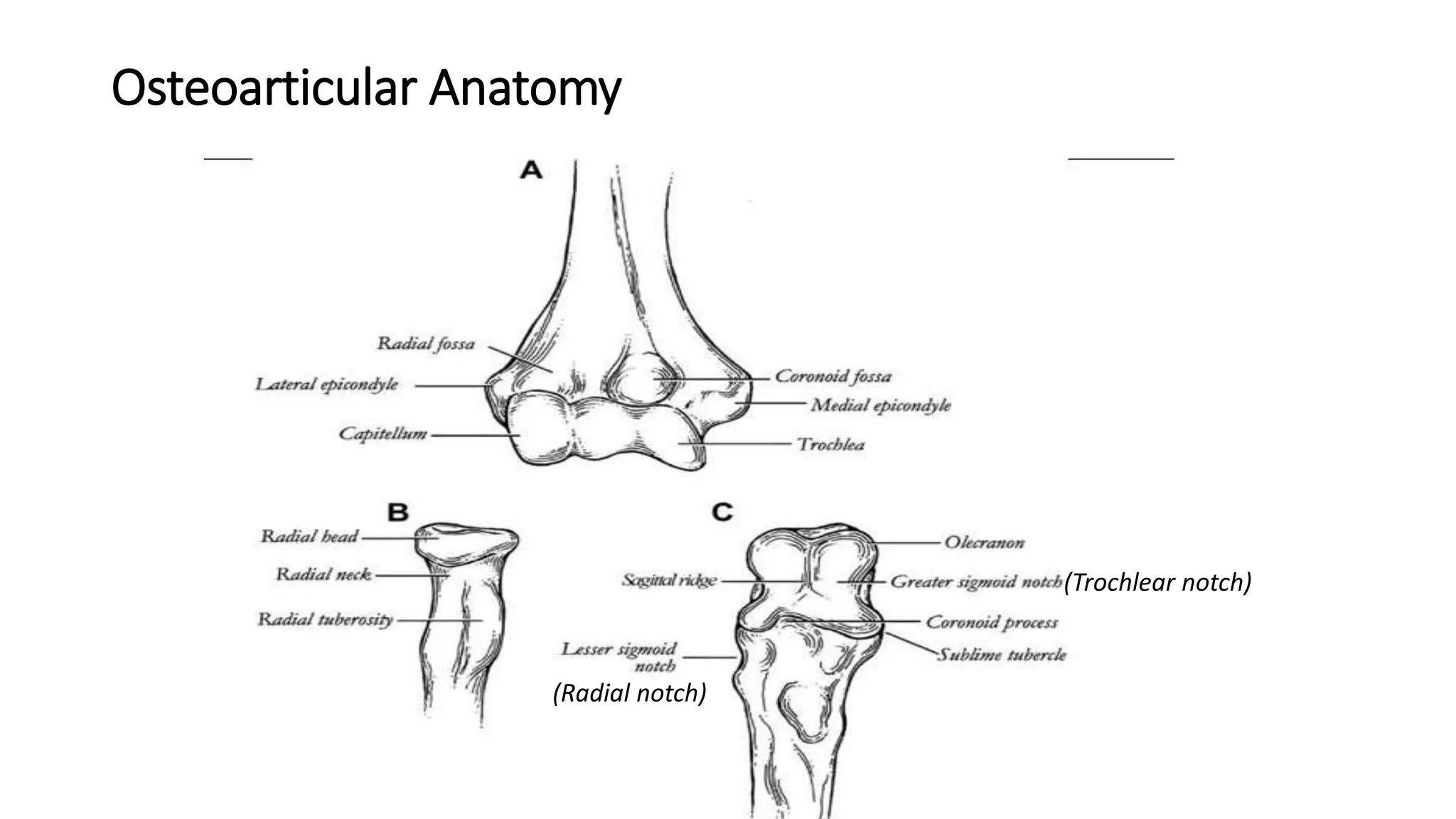 Elbow joint anatomy and examination | PPTX