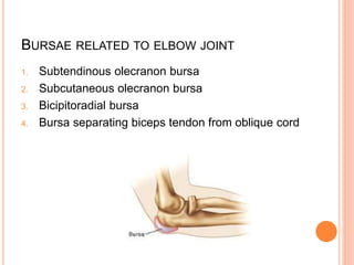 Elbow joint and radio-ulnar joints (1).pptx