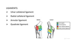ELBOW JOINT EXAMINATION-RAGUL.pptx
