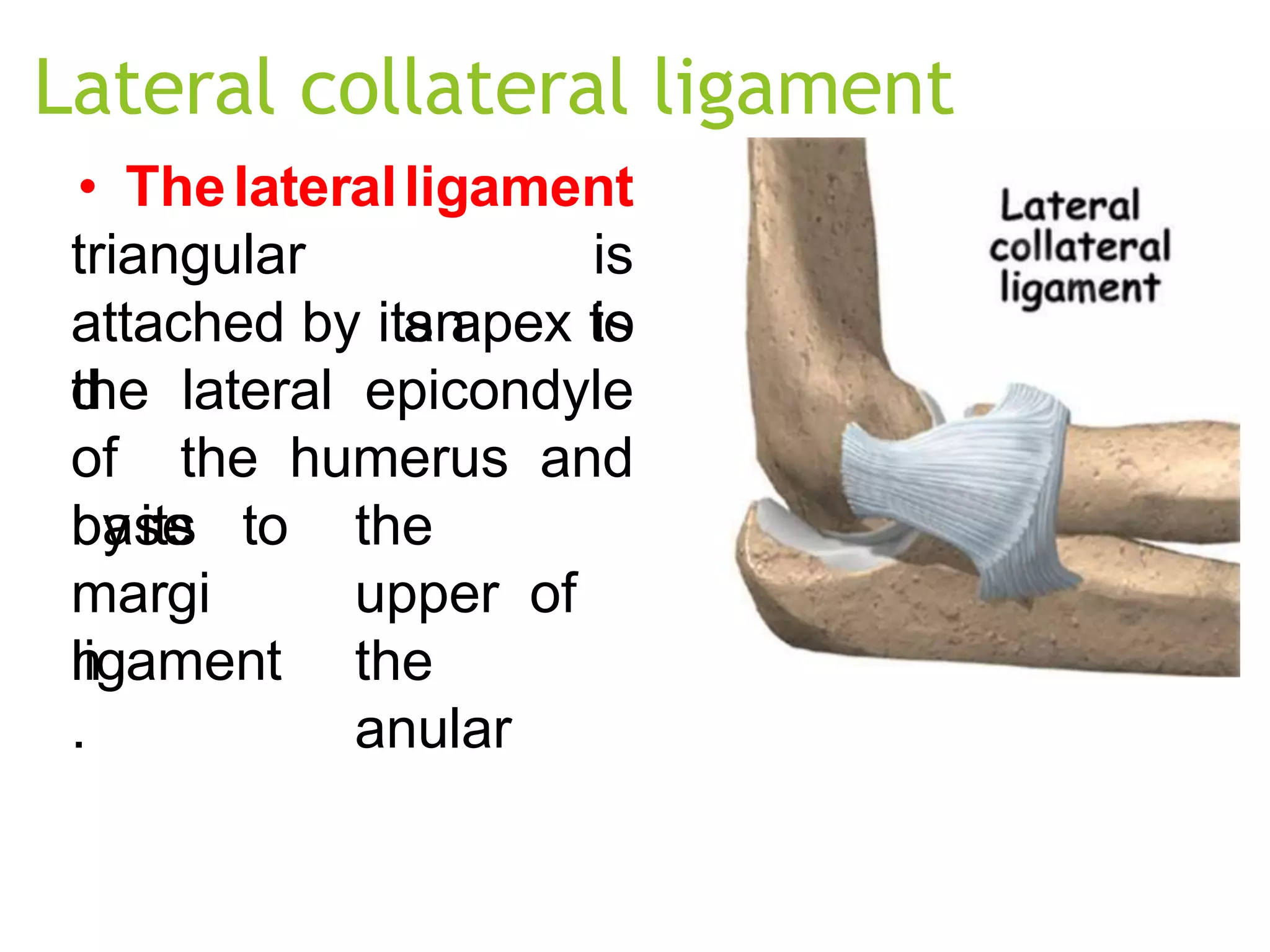 ELBOW JOINT final.pptx