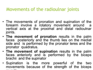 ELBOW JOINT final.pptx