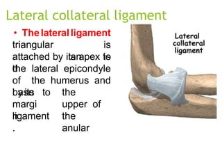 ELBOW JOINT final.pptx