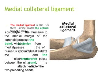 ELBOW JOINT final.pptx