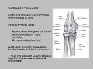 Elbow joint | PPTX