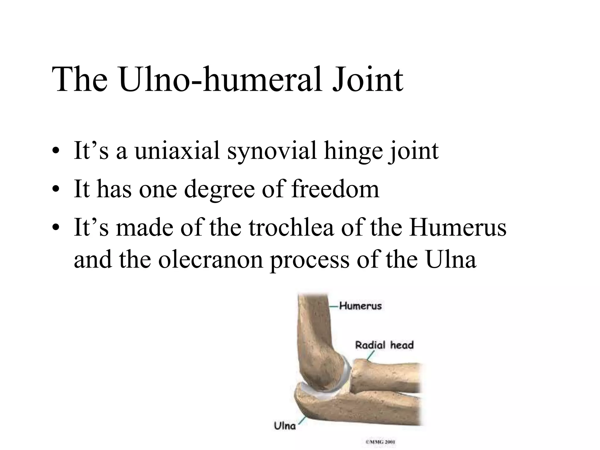 Elbow_Lecture 4.ppt