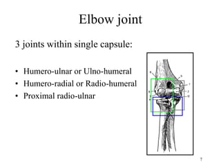 Elbow_Lecture 4.ppt
