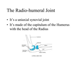 Elbow_Lecture 4.ppt