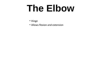 Elbow muscle | PPT