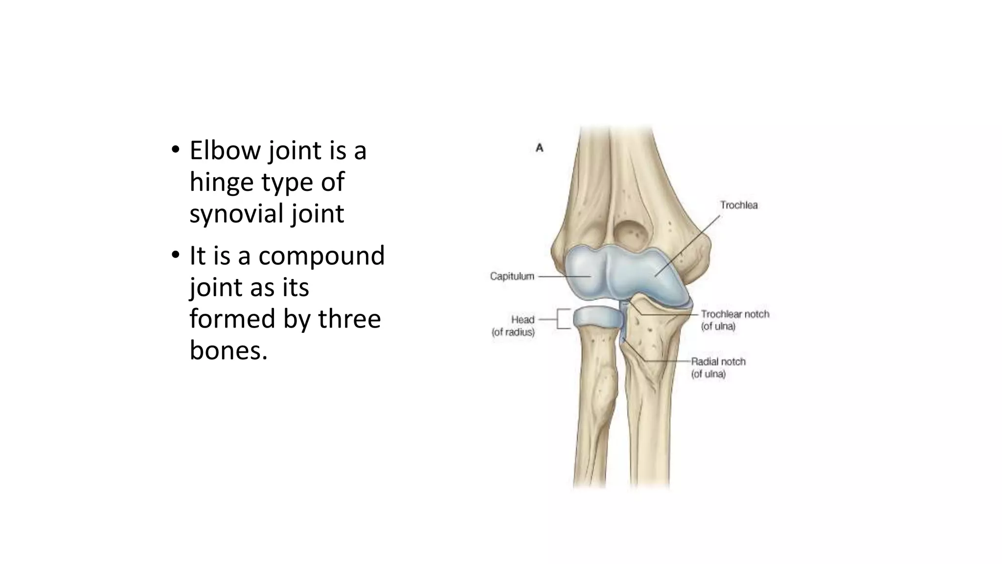 Elbow Pain | PPTX