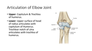 Elbow Pain | PPTX