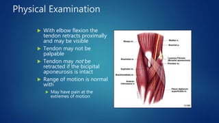 Distal Biceps Tendon Ruptures | Elbow Tendinopathies | South Windsor ...