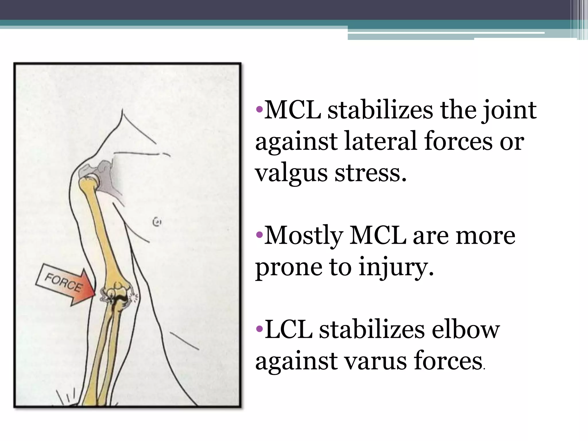 Elbow biomechanics | PPTX