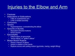 Elbow wristhand and wrist2010 | PPT