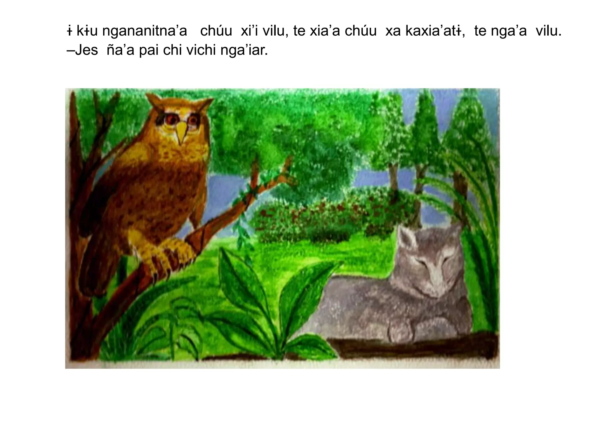 El buho y el gato mixteco | PPT