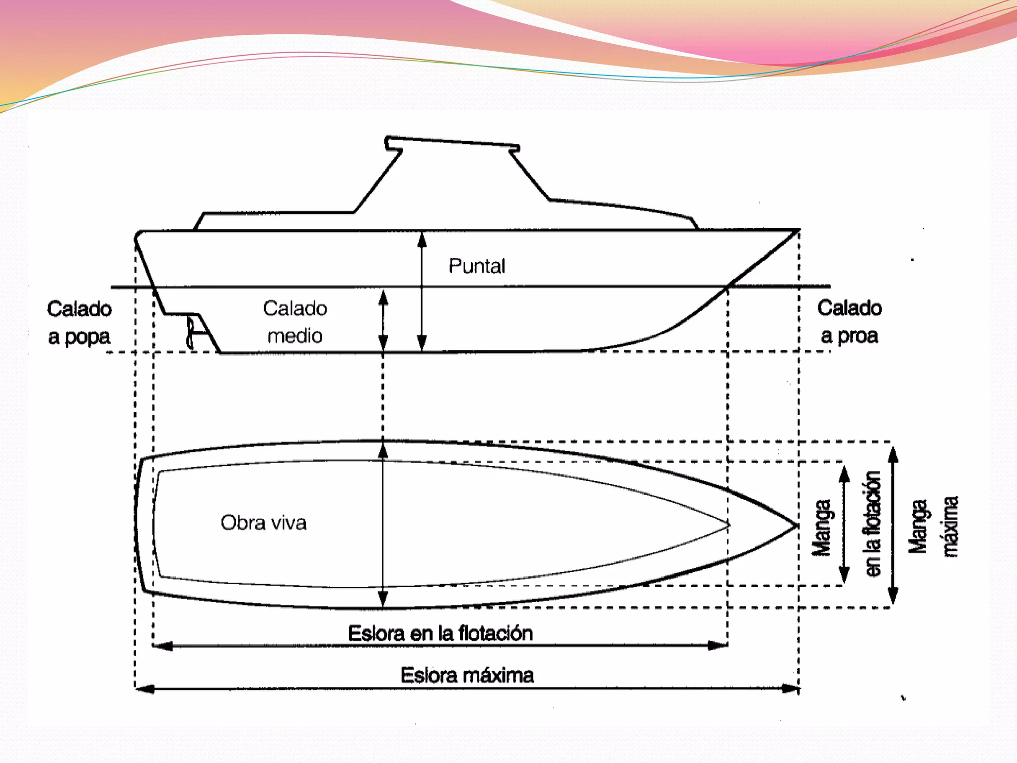 El buque y sus dimensiones | PPTX