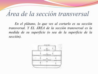 El buque y sus dimensiones | PPTX