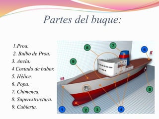 El buque y sus dimensiones | PPTX