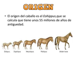 EL CABALLO | PPTX