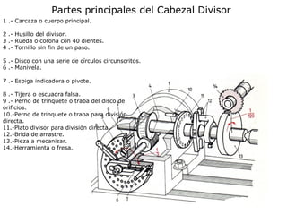 Elcabezaldivisor | PDF