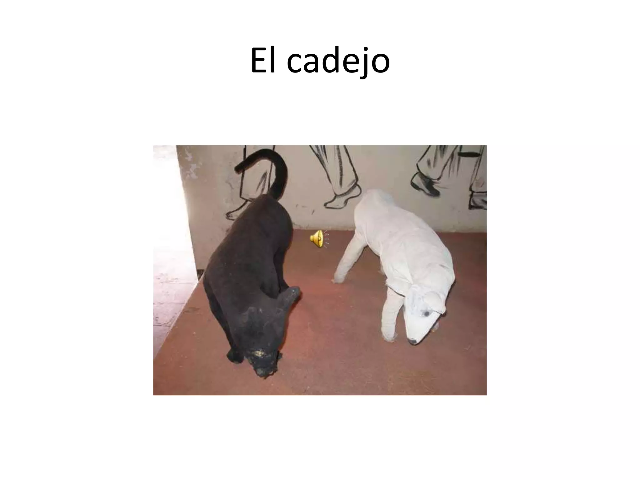 El cadejo | PPTX