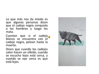 El cadejo | PPTX