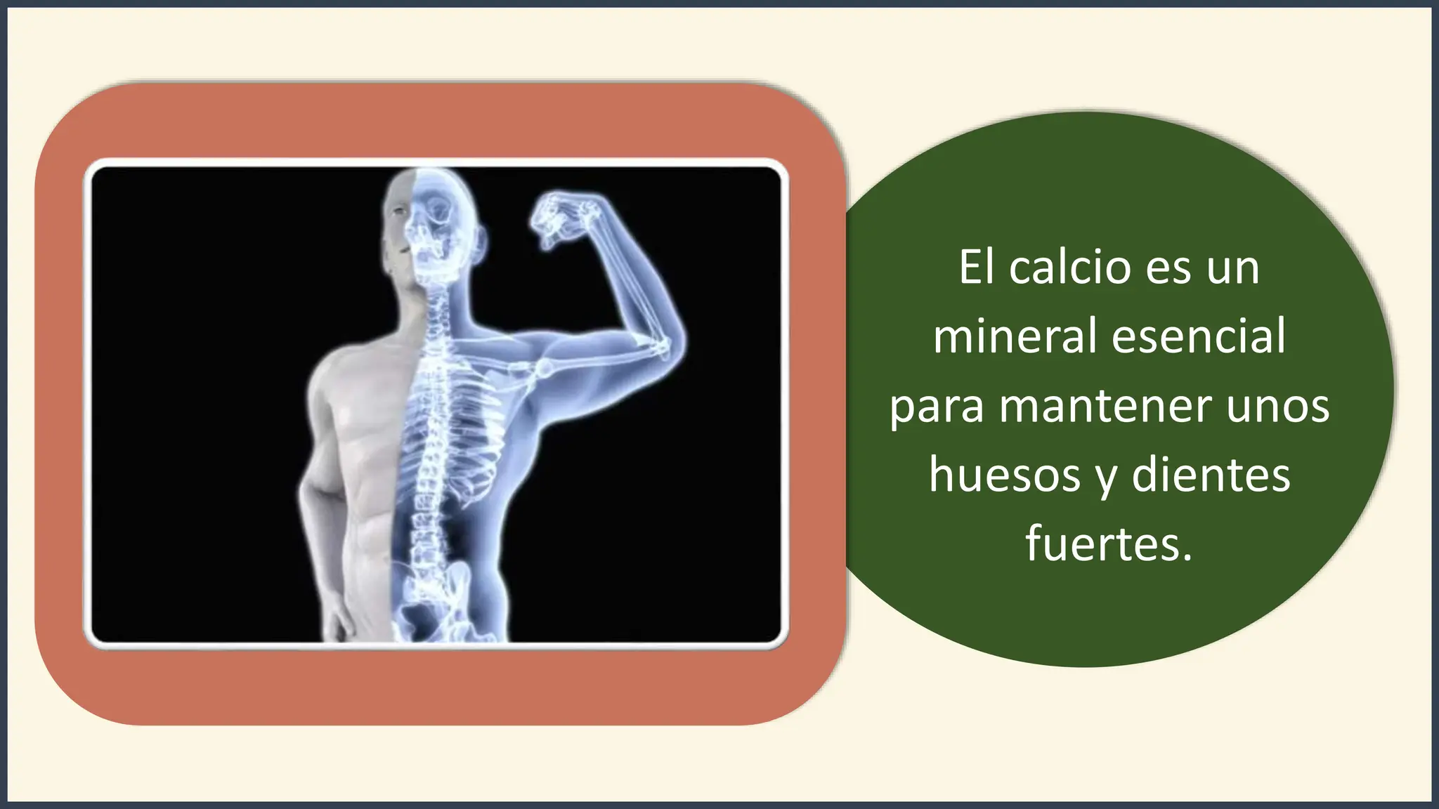 El calcio y el cuerpo humano | PPT