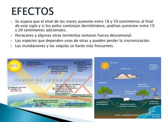 El calentamiento global | PPTX | Environment | Science