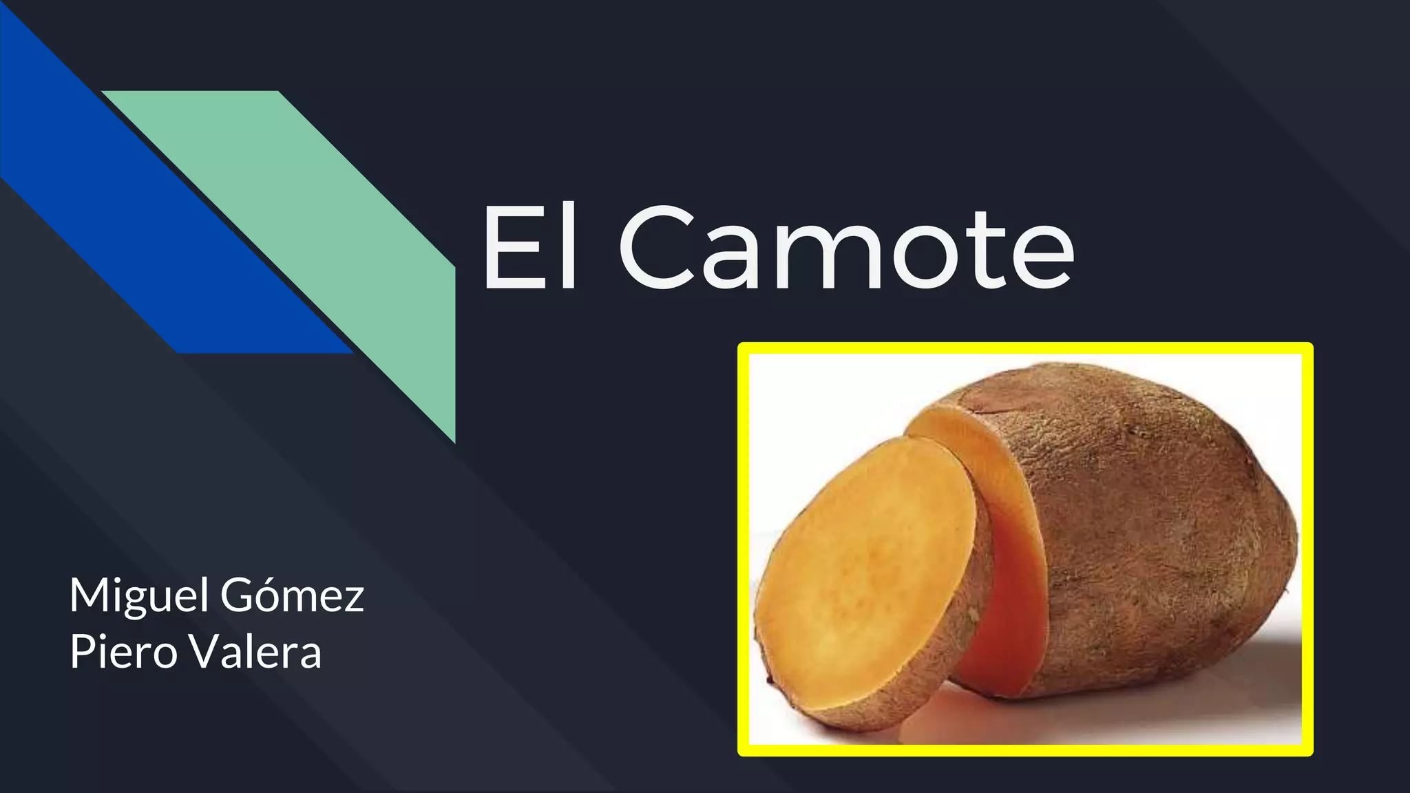 El camote | PPT