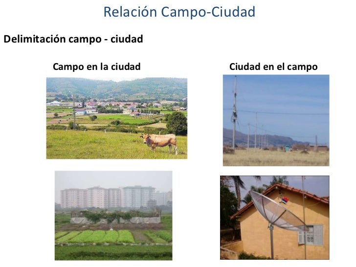 El campo y la ciudad