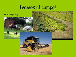 El campo y la ciudad | PPT