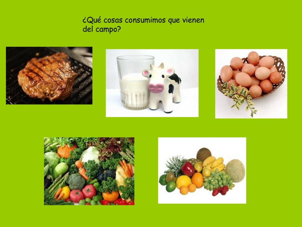 El campo y la ciudad