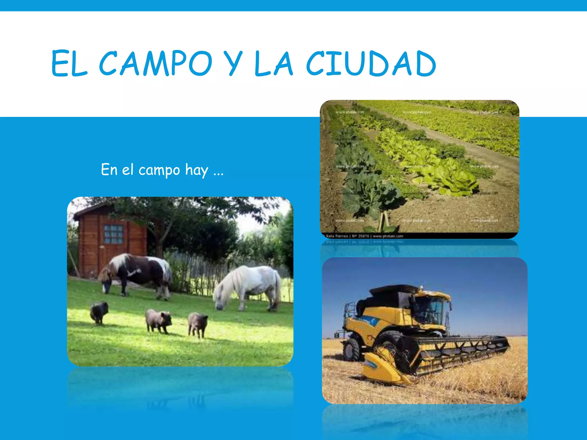 EL CAMPO Y LA CIUDAD.pptx