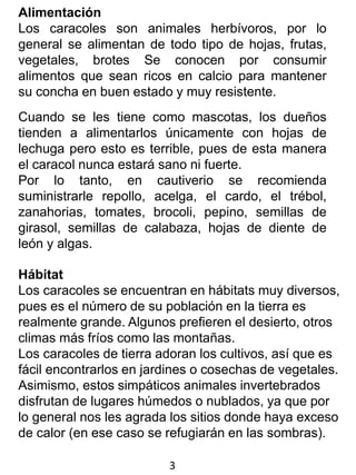 El caracol | PPTX