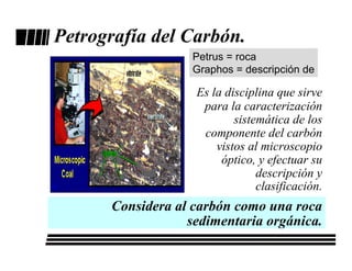 El carbón como roca orgánica | PDF