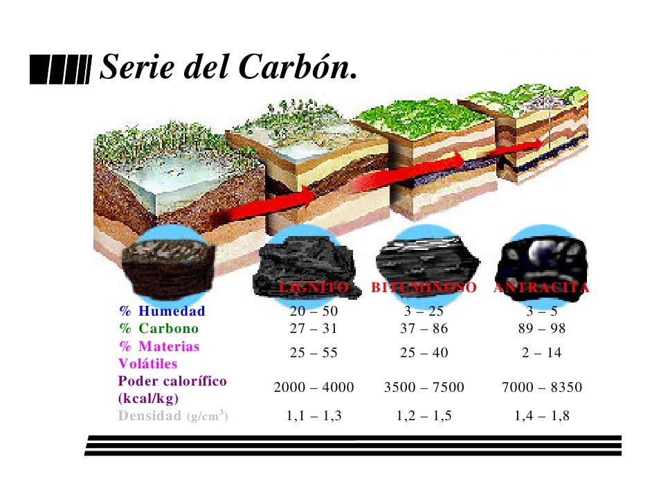 El carbón como roca orgánica