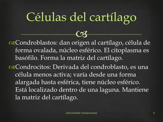 El cartílago | PPTX