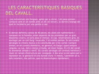 El cavall | PPT